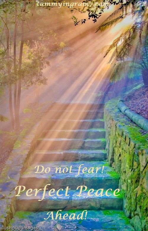 Living With Addiction Day 5 ~ Perfect Peace | Tammy Ingram