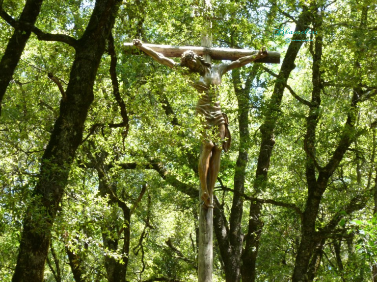 Tammy Ingram | Generous Heart, Valiant Voice